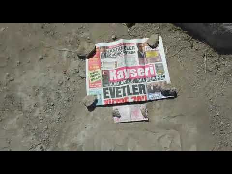 Çok Güzel Kayseri'de Bulunan Haç İçinde Tavuk ve Civcivleri
