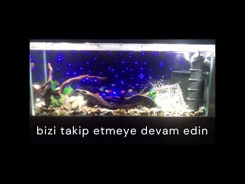 Fiber optik yıldız ışıklı akvaryum arka fon uzay paneli