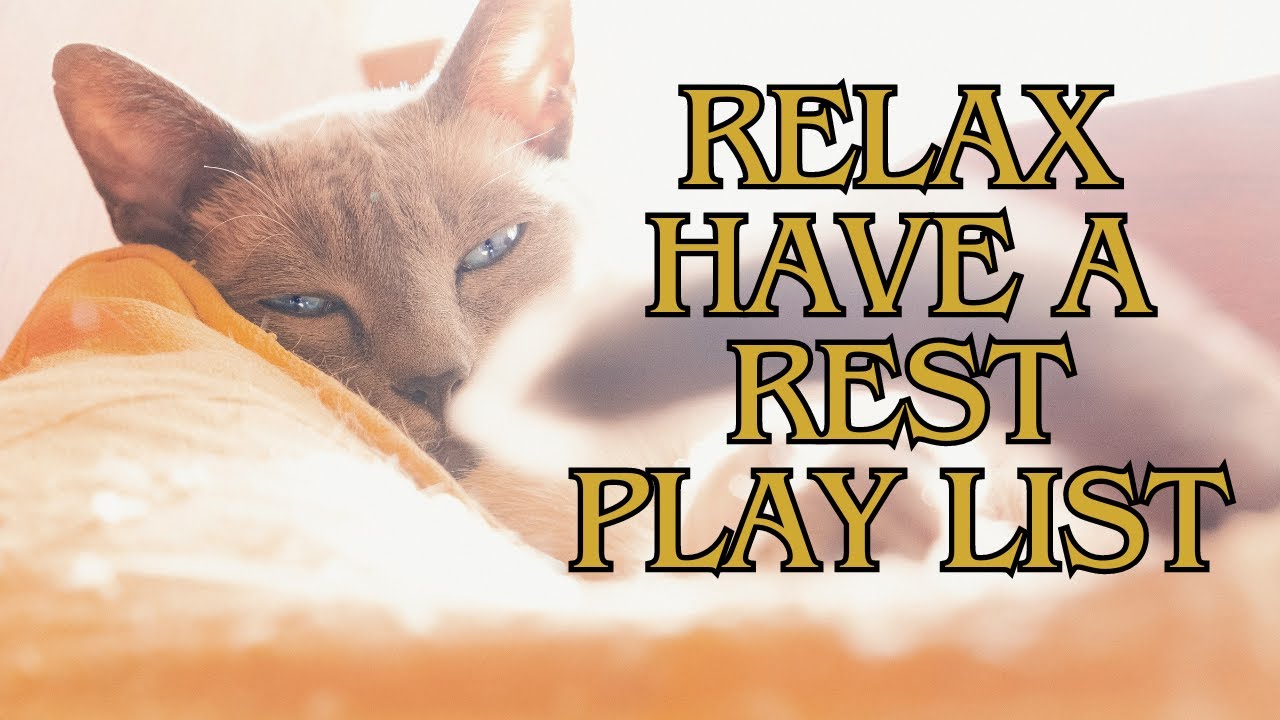 🔴🐬Relax have a rest Play list4 - YouTube