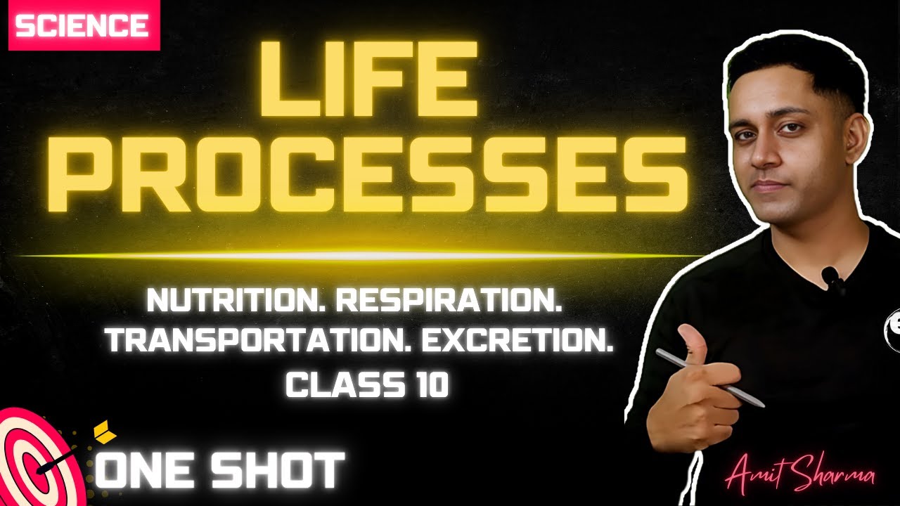 Life Processes class 10 | Full chapter in one shot | Explained in One ...
