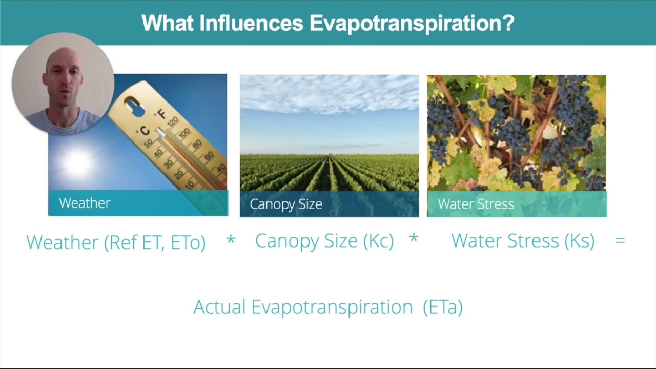 Understanding FieldStat II - How is FieldStat calculated? - YouTube