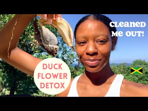 I took the most POWERFUL Colon Stomach Cleanse in Jamaica | Duck Flower ...