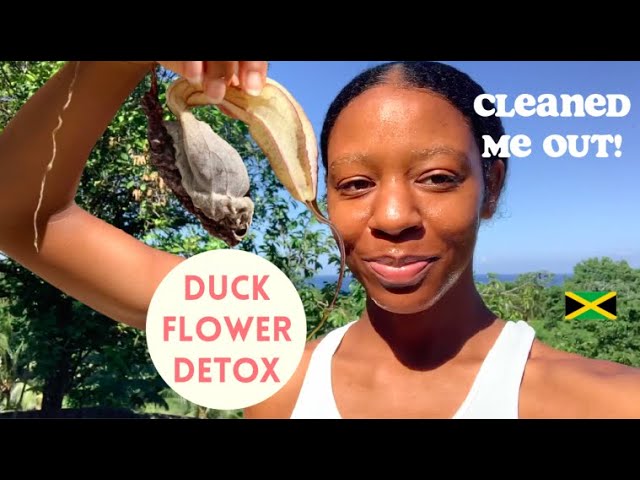 Duck Flower Detox | Best Flower Site