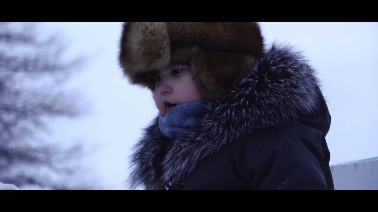 Video Short - Qimmiit eager to do their favorite thing, Run. - YouTube