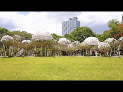 Leeroy New: Mebuyan's Colony - YouTube