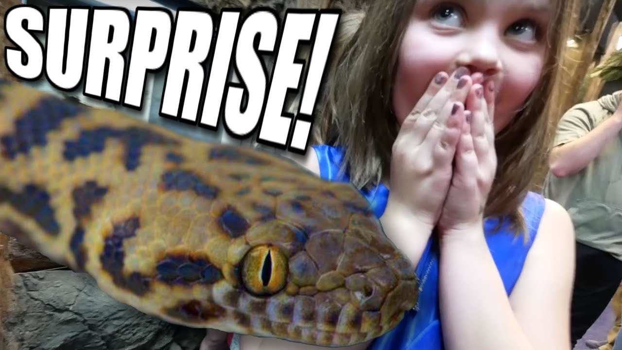 SURPRISING A 7 YEAR OLD WITH HER FIRST PET SNAKE!!! | BRIAN BARCZYK ...