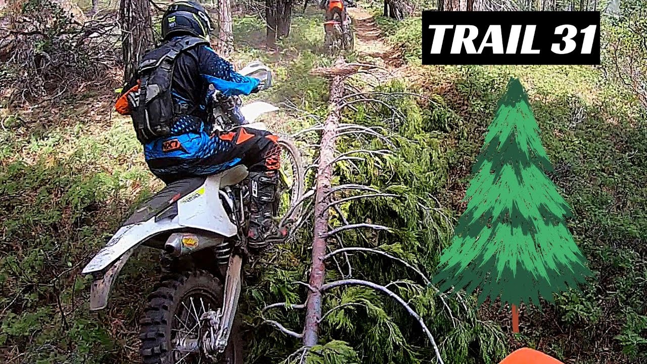 Elkins Flat - Trail 31, May 2020 Pipi Valley - YouTube
