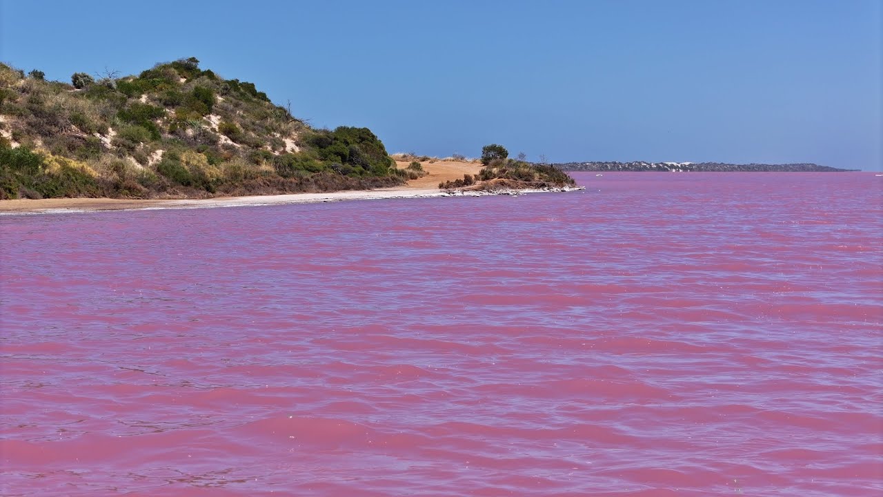 Hutt Lagoon - The Pink Lake - Yallabatharra - WA - YouTube