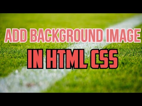 How to add background image in html css | Code for you | We Designing ...