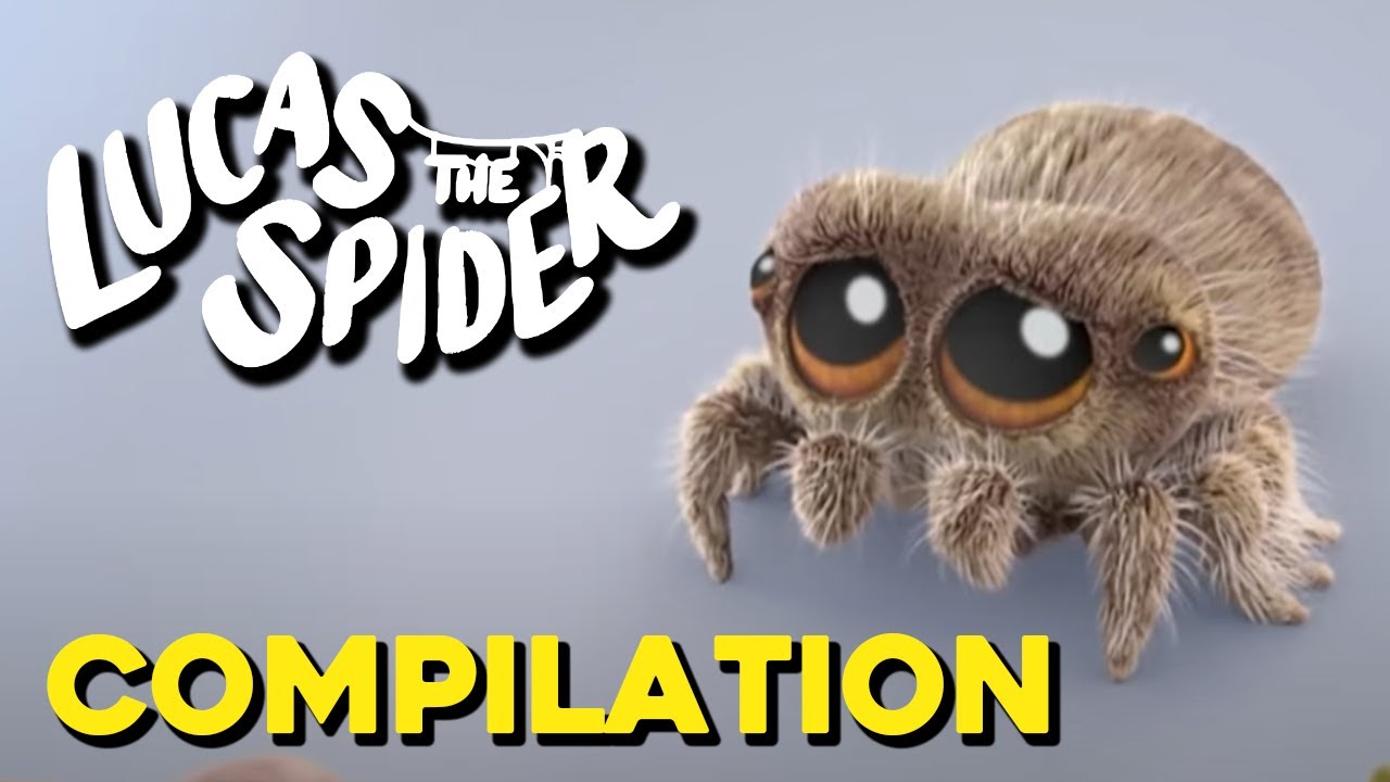 Lucas the Spider DRAMA Moments Compilation - YouTube