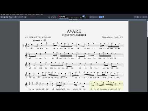 AVARE   - HÜSNÜ ŞENLENDİRİCİ NOTA