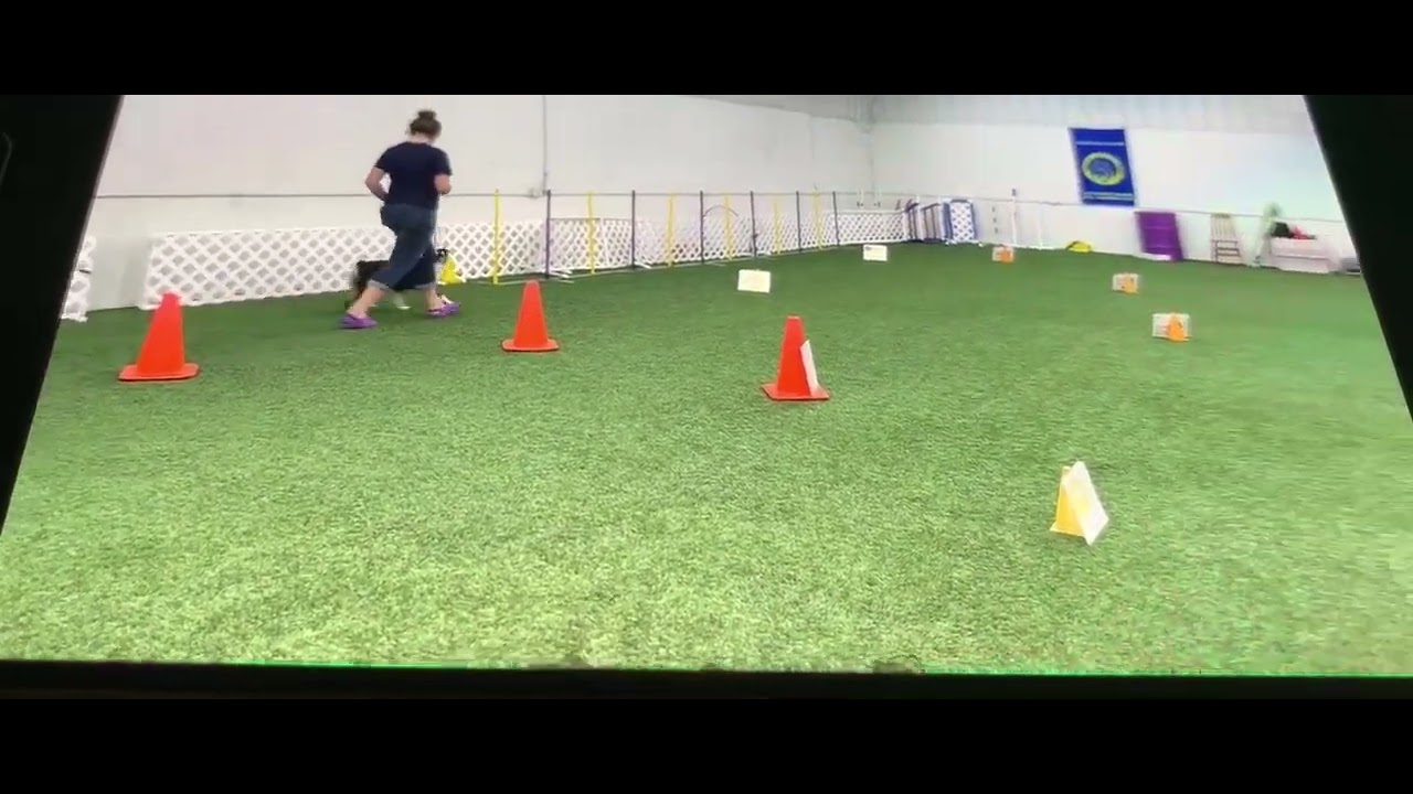 AKC Rally Novice Course 2 - YouTube