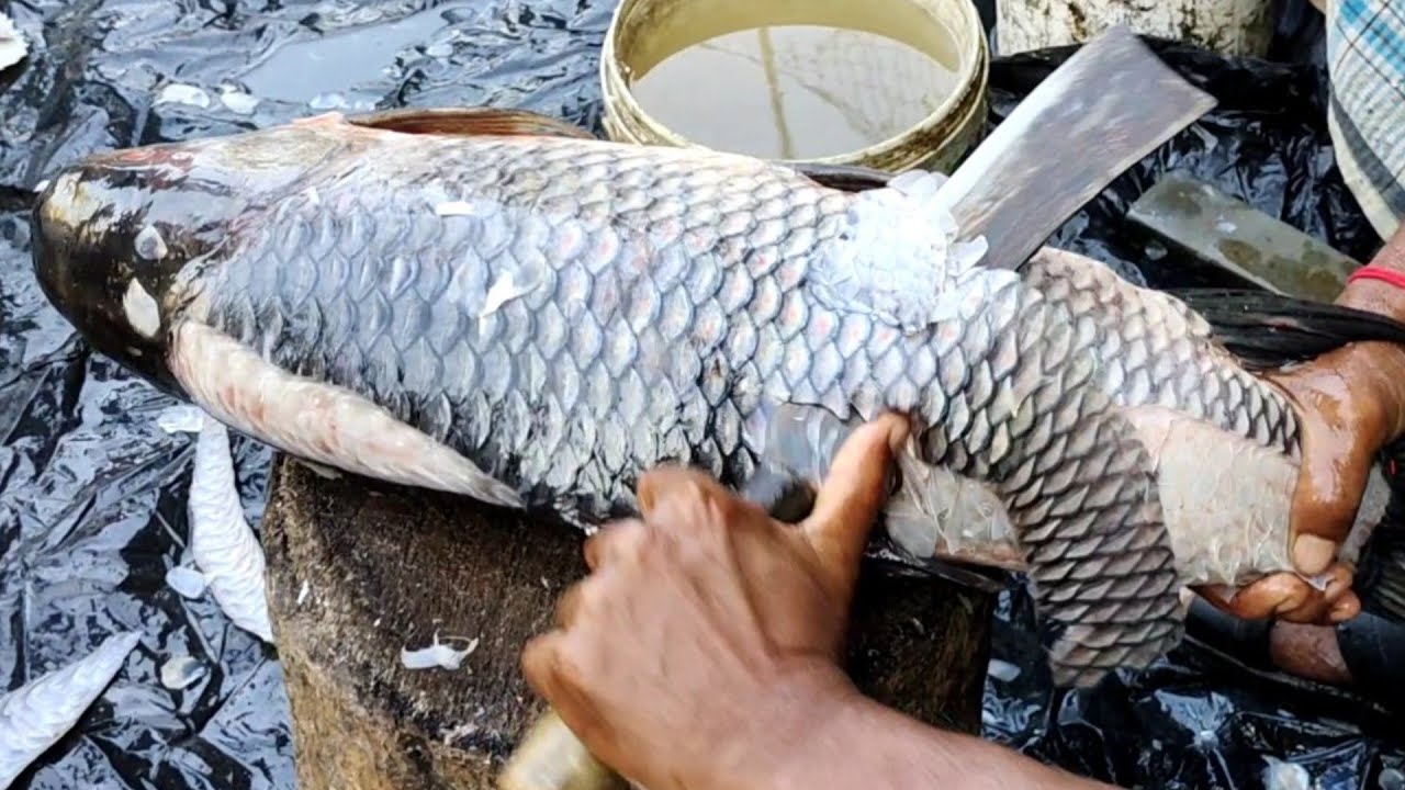 super big rohu fish cutting skills। and live fish cutting video। - YouTube