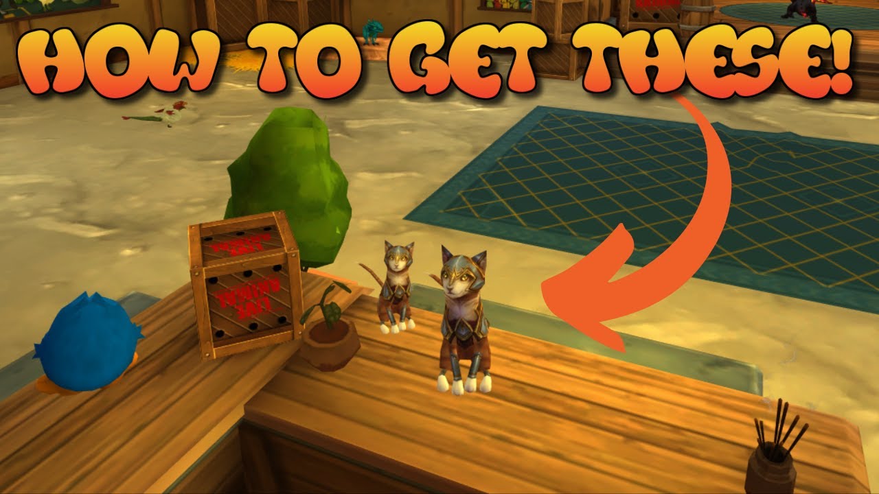 AQ3D How To Get Guardian CAT Travel Form & Pet! AdventureQuest 3D - YouTube