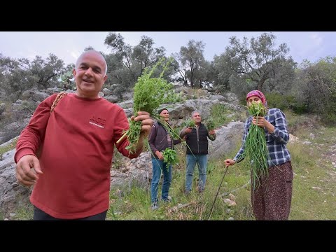BÖYLE DOĞA GÖRMEDİN, YÖRÜKLERİN GİZLİ DOĞASI, TOROSLARDA NE BULDUYSAK YEDİK VE YABANİ OTLARLA 1 GÜN.