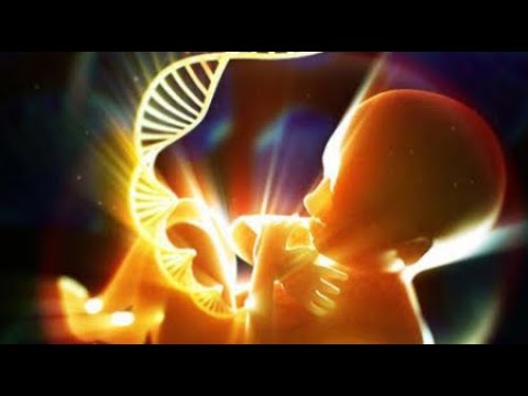Mankind Playing God - Babies with 3 Parents DNA End Times News ...