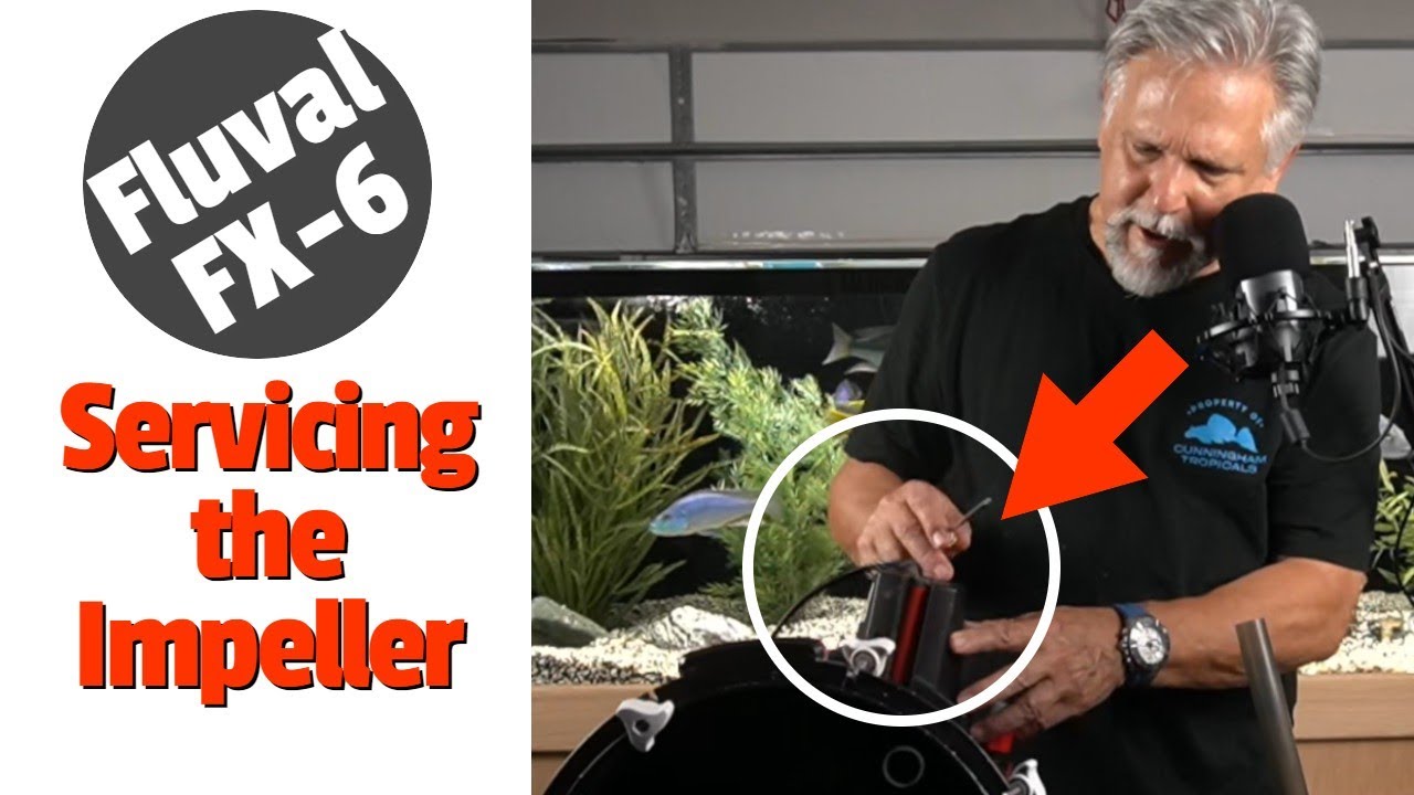 Fluval FX-6 Canister Filter IMPELLER CLEANING *Plus MEDIA TIPS* - YouTube