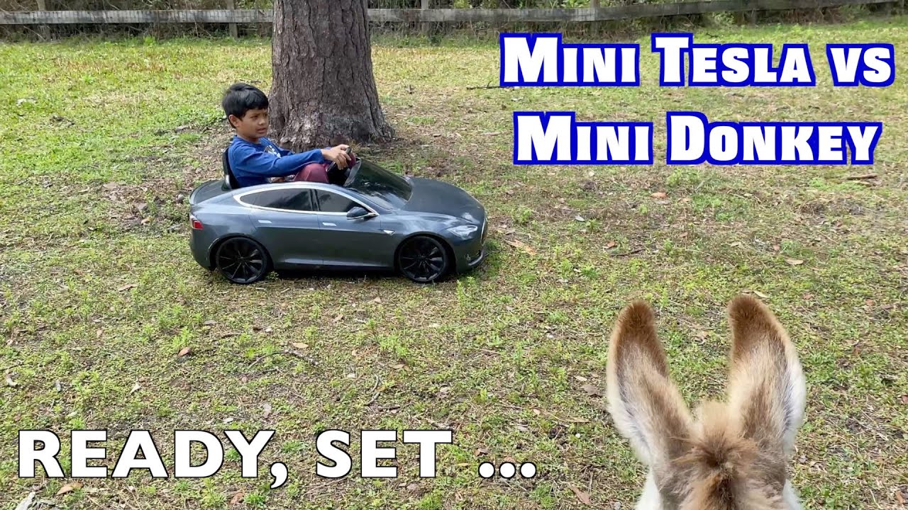MINI Tesla vs. MINI Donkey - Speed Test - YouTube