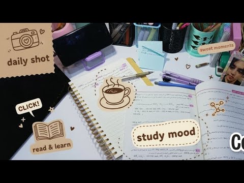 📚 Study With Me 1 Hour 🌊 Ocean Sounds || Real Time || No Music