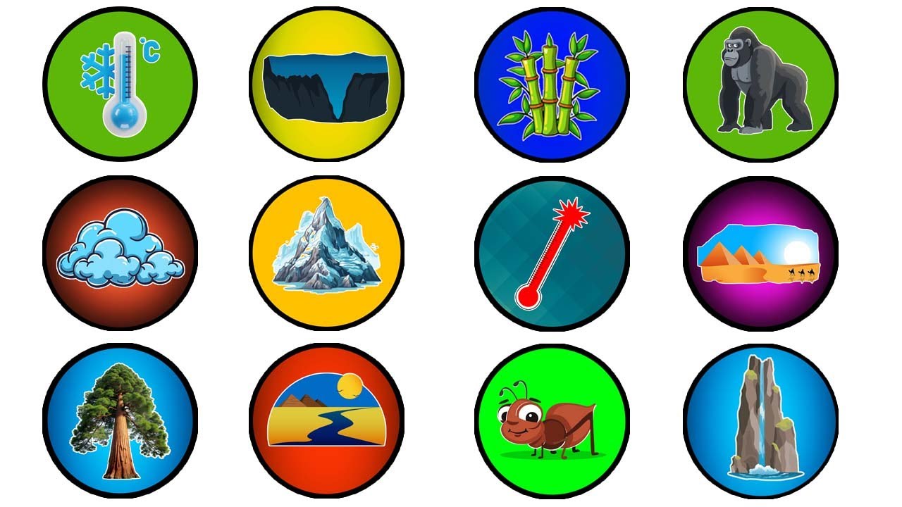 Every Natural World Records Explained in 12 Minutes - YouTube