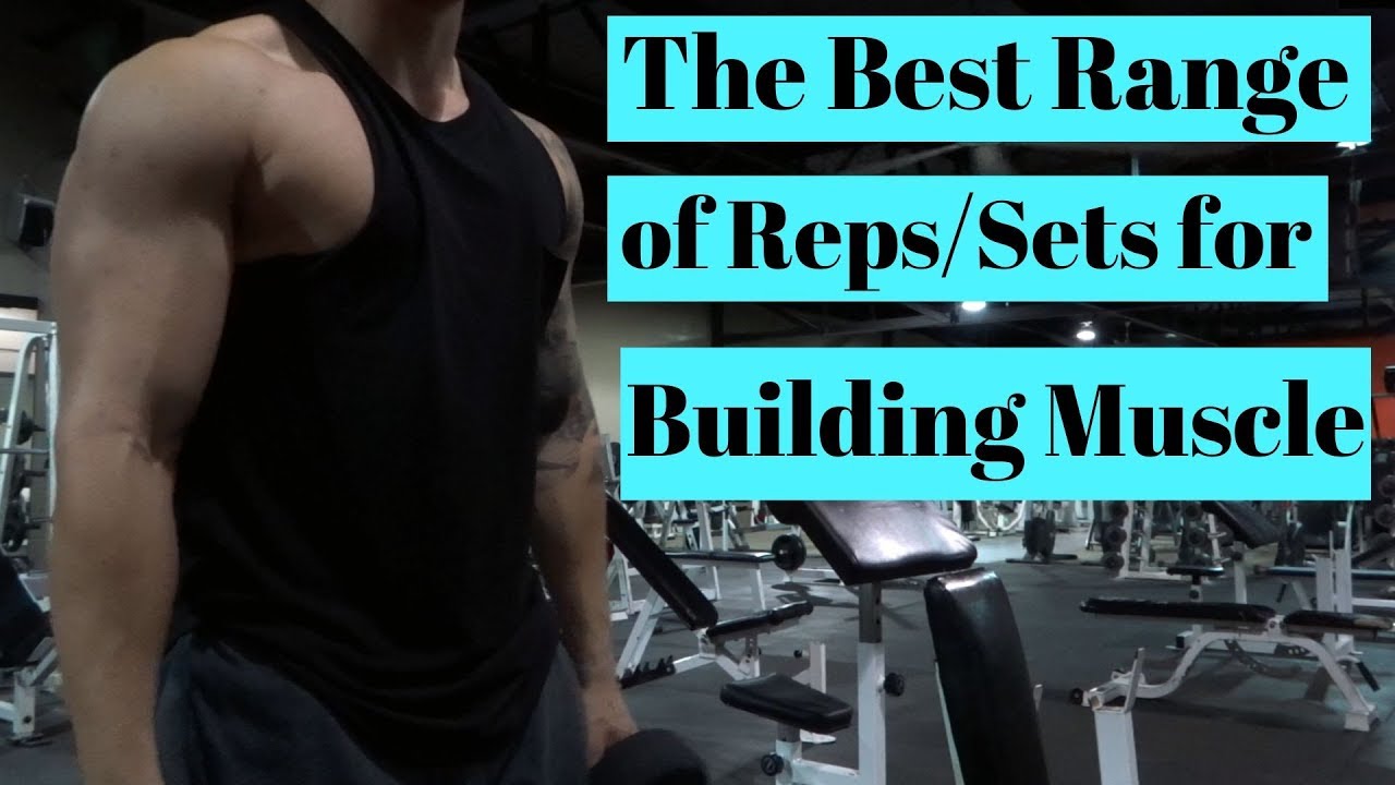 The Best Range of Reps/Sets for Building Muscle, Chest day, Vlog - YouTube