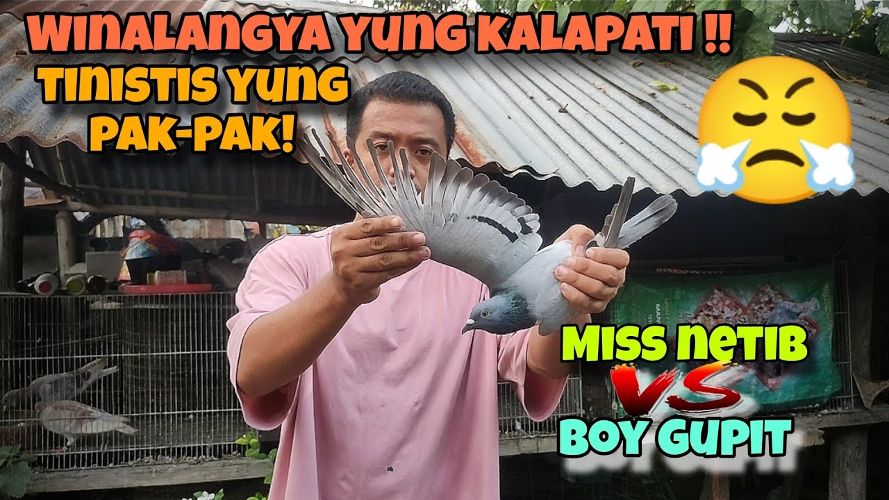 MISS NETIB VS BOY GUPIT | UMUWI NG GUPIT ANG PAKPAK! | @GWAPSTVOFFICIAL ...