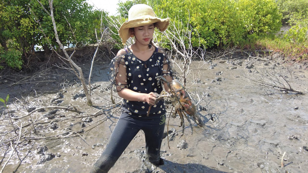 Amazing Fishing - Catching Many Huge Mud Crabs at Swamp after Water Low ...