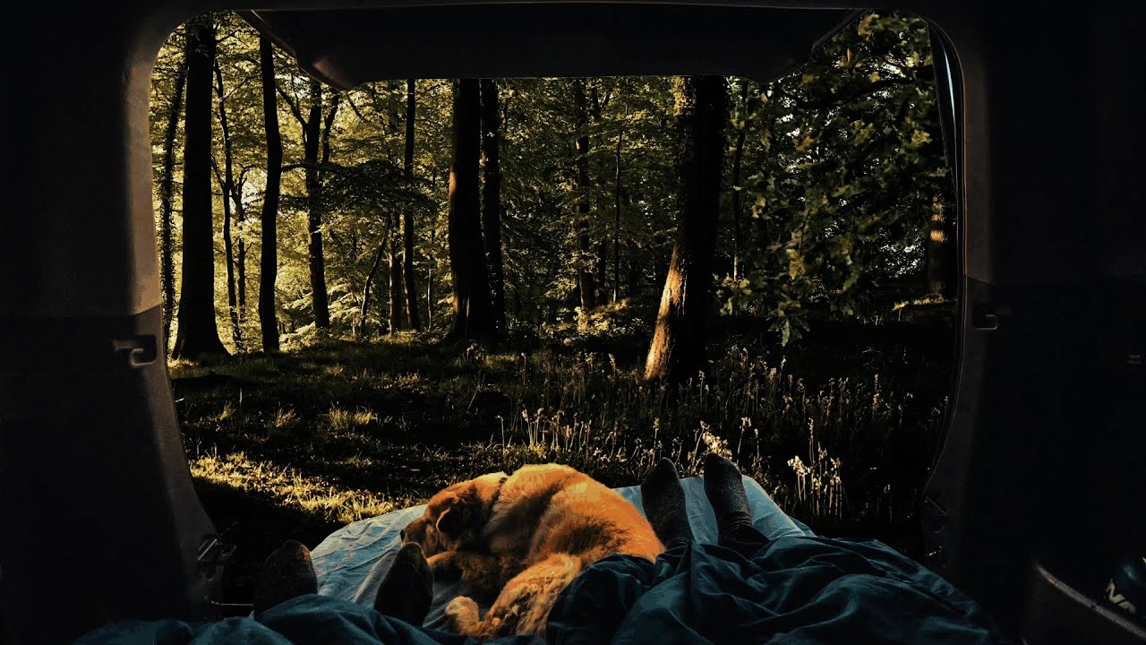 Chill Lo-Fi Music to calm you - Cozy Camping Vibes - (Crickets Sounds ...