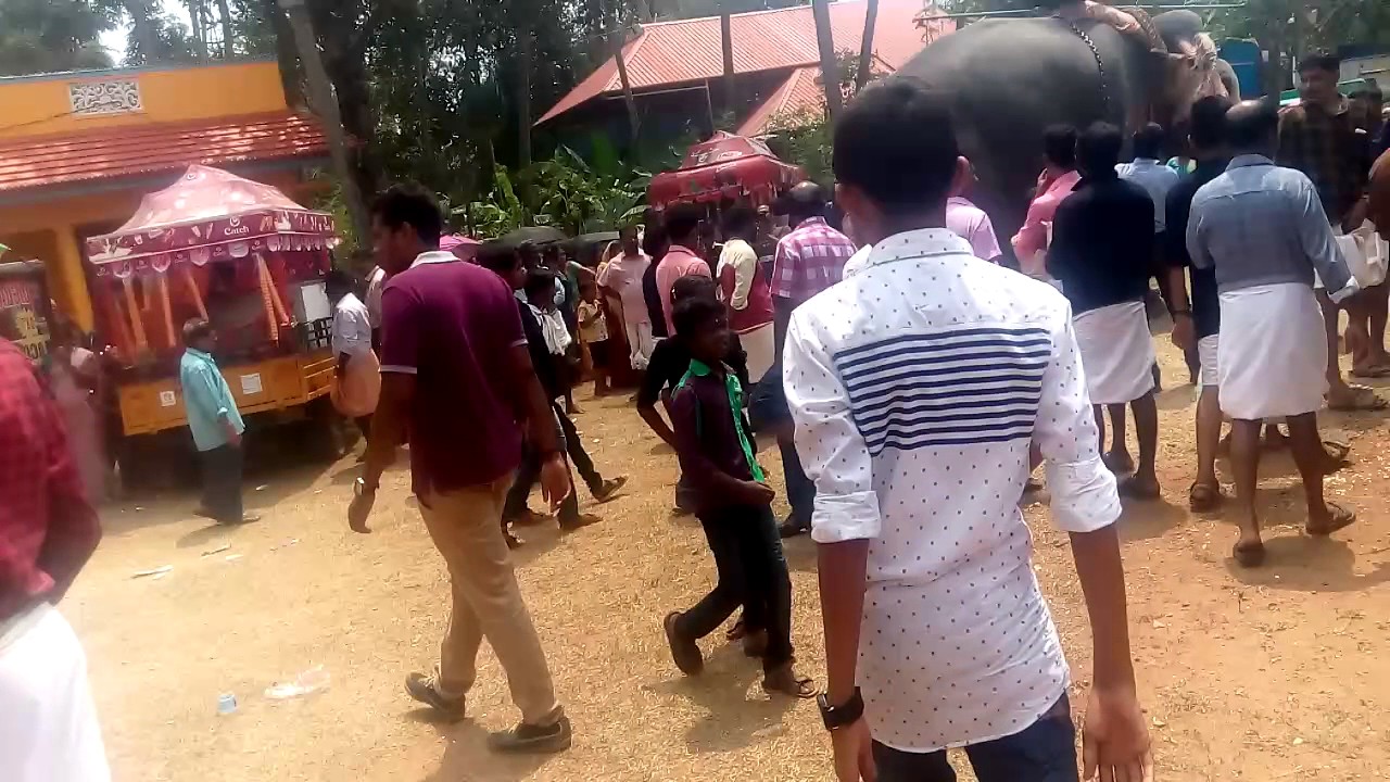 KATTOOR SNDP TEMPLE POOYAM | NADASWARAM | DANCE - YouTube