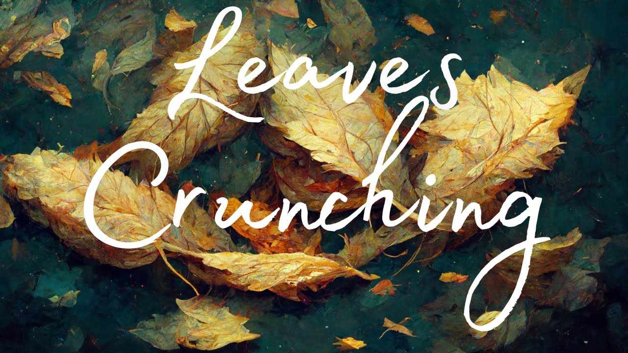Leaves Crunching - Nature Sounds - YouTube
