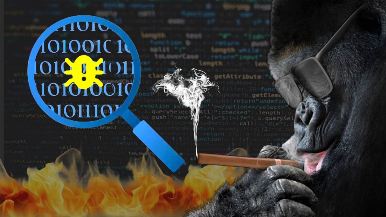 The best way to learn BUG BOUNTY HUNTING - YouTube