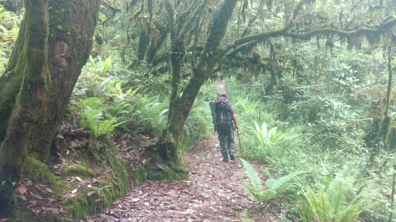 ON THE MAINAM LA TREK IN SIKKIM, INDIA - 01 - YouTube