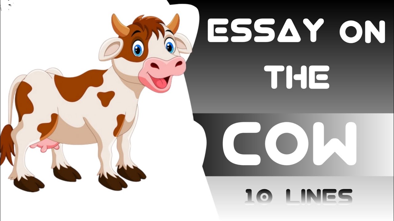 Cow essay in english 10 lines || 10 lines on the cow in english writing ...
