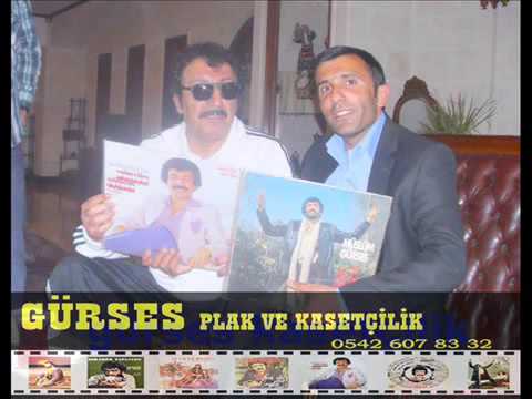 Arap pedaras(6)