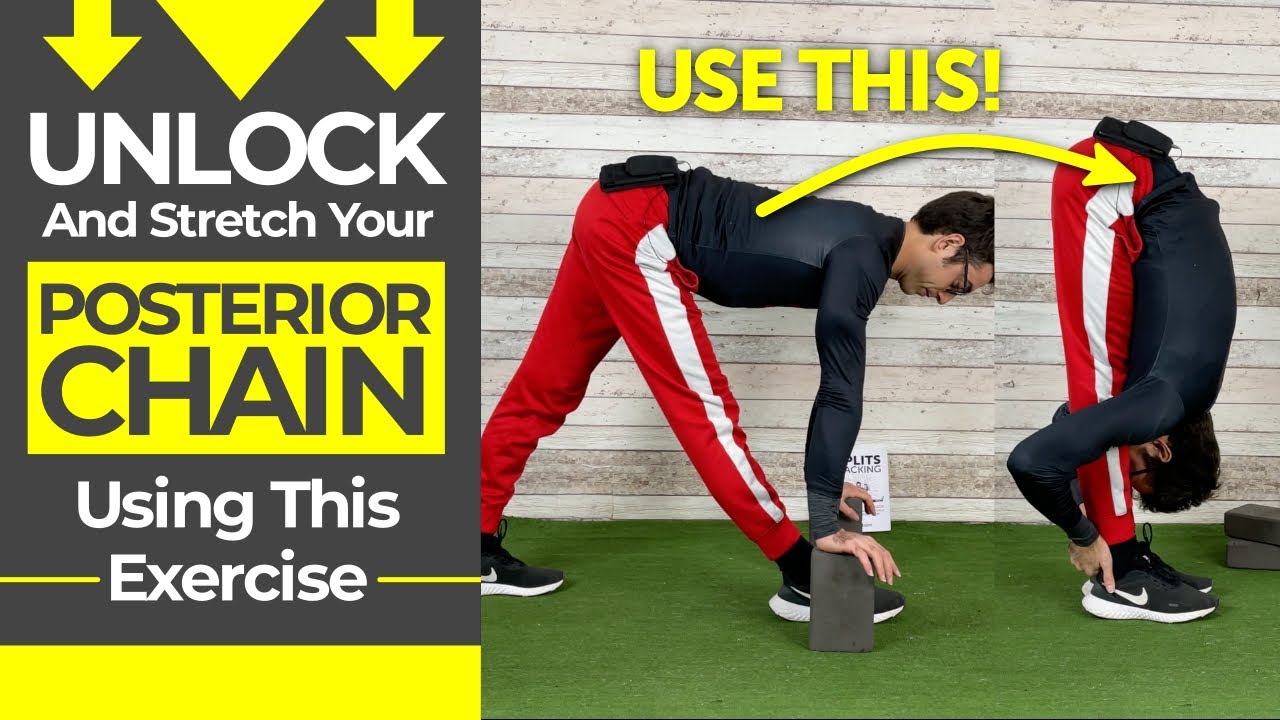 Use THIS Exercise to Stretch Your Hamstrings and Posterior Chain, NOT ...