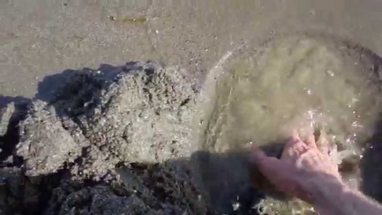 Hot Sand Beaches of Taupo, New Zealand - YouTube