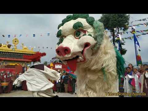 Sengge Dance Shorong