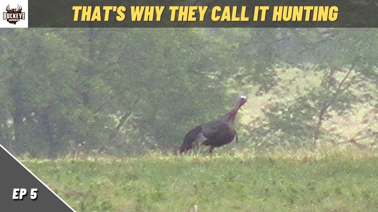Turkey Season Finale - 2022 Ohio Spring Turkey Season - YouTube