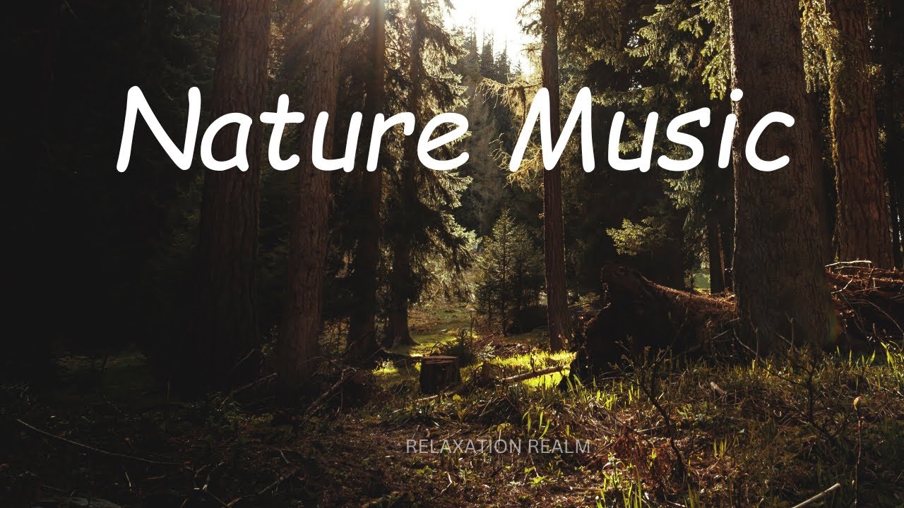 Symphony of Nature: Embrace the Harmony of Enchanting Natural Music ...
