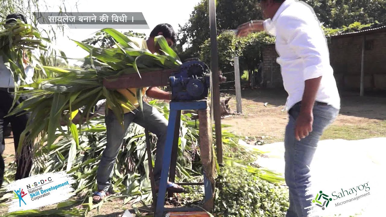 Method of preparation of Silage - YouTube