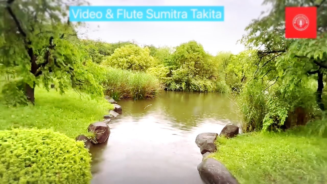 Bansuri Raag Yaman Theme Flute Music Indian Classical Instrumental ...