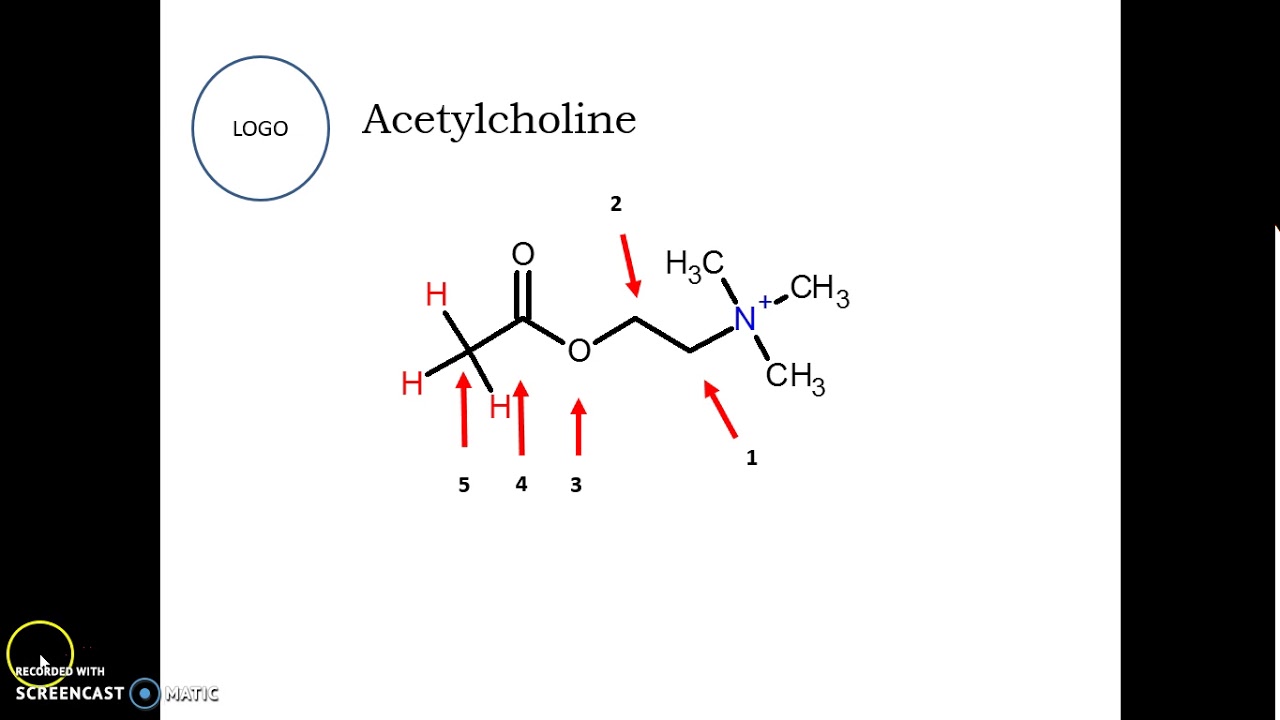 Acetylcholine agonists - YouTube