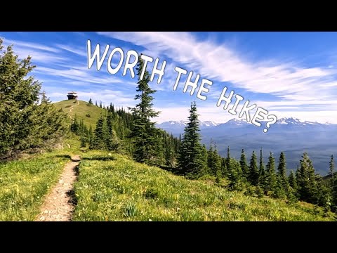 Hiking the Huckleberry Lookout Trail with bears, mosquitoes and deer ...