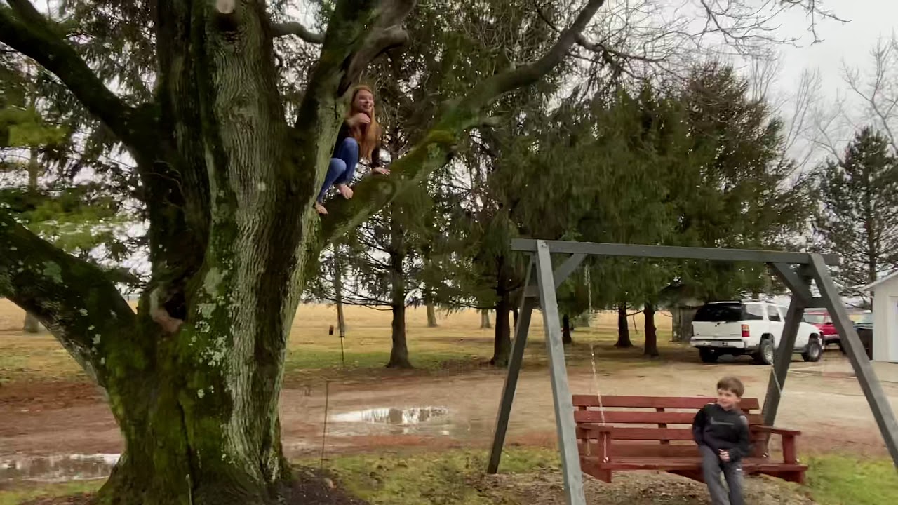 Getting stuck in tree for Christmas - YouTube