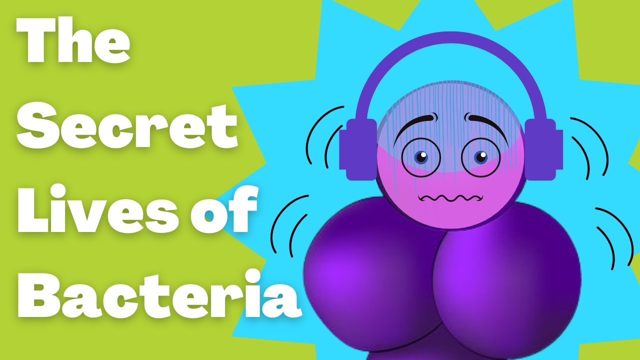 Meet the Bacteria Behind Staph Infections -Staphylococcus Aureus - YouTube