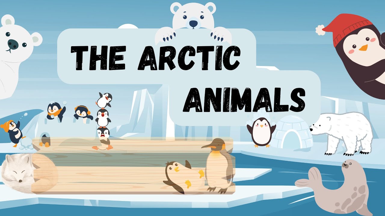 The Arctic Animals Song| Polar Animals For Kids| Learn & Sing ...