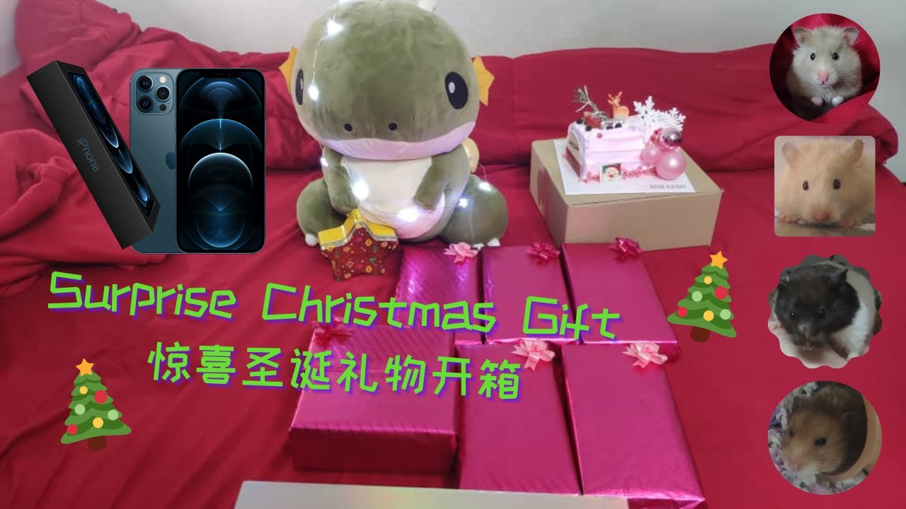 🎄 Surprise Christmas Gifts Apple iPhone 12 Pro Max, 🐹 驚喜滿滿的聖誕禮物策划与开箱 ...