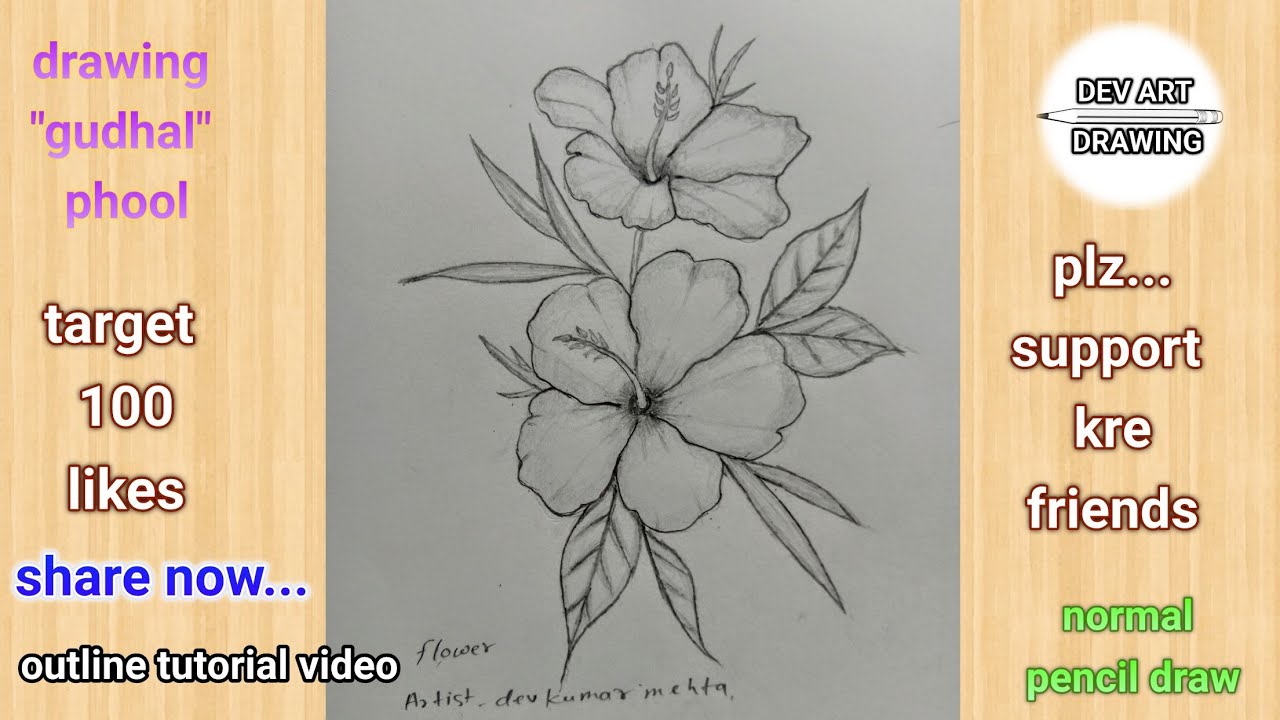 how to draw a hibiscus flower in pencil step by step ! drawing gudhal ...