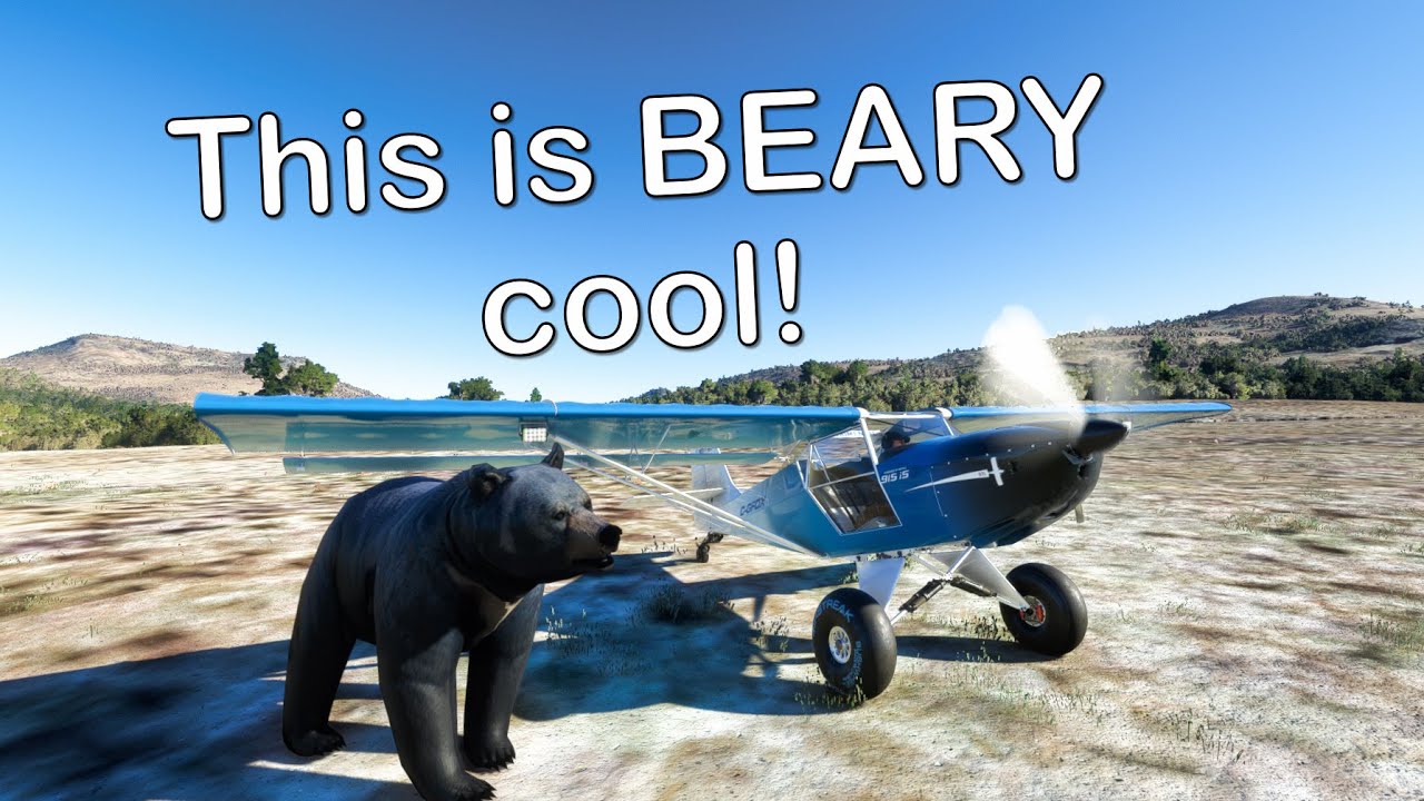 We Found Some Bears | MultiPlayer MSFS 2020 - YouTube