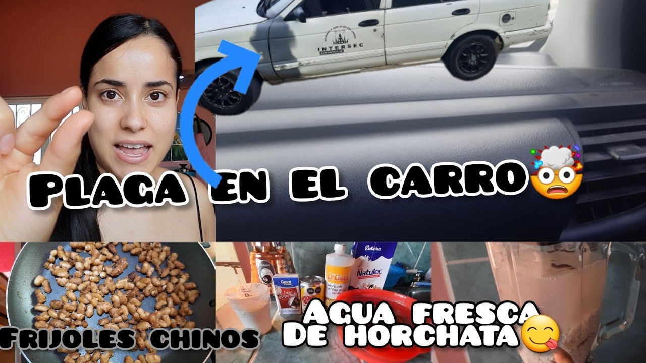 EL CARRO ESTA LLENO DE CUCARACHAS|COMO LAS EXTERMINAMOS? FRIJOLES ...